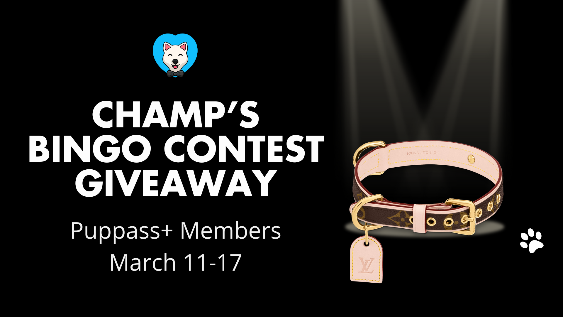 Champ's Giveaway Bingo Contest – Puptqe USA Corp